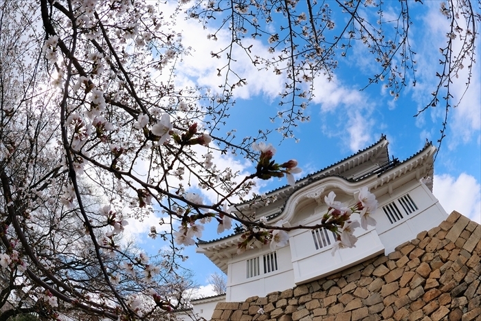 ラグビー近鉄ライナーズ、D1・D2入替戦で無念の逆転負け！！: IXY-nob