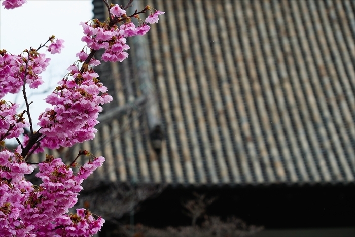 隣の家が解体されていきます！！: IXY-nob