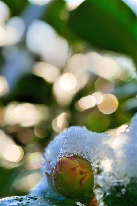 ラグビーリーグワン・RH大阪対S愛知戦を仲間たちと生観戦！！: IXY-nob