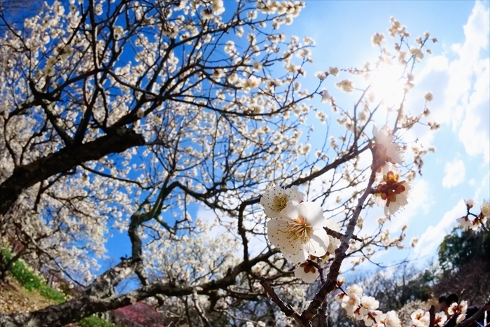 5/10の「文之助・市馬ふたり会」。お二人とも大熱演！！: IXY-nob