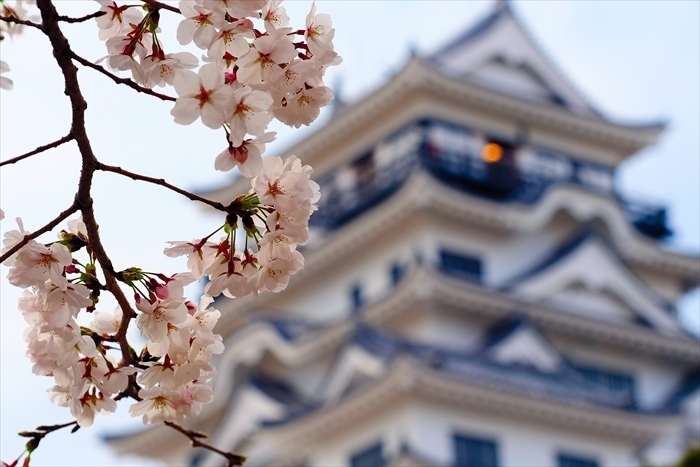 阪神タイガース快勝で名古屋遠征大成功！！: IXY-nob