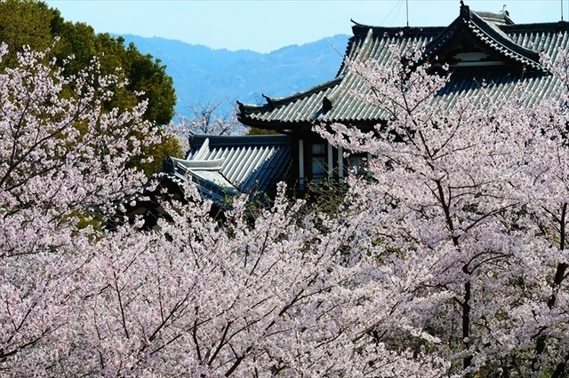 宅配便はゆうパックがいいかも。郵便局員さんはメッチャ親切でした！！: IXY-nob