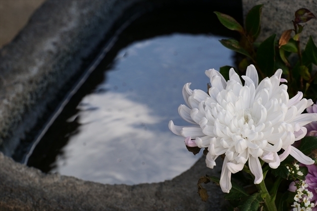 阪神タイガースの新しいファーム球場へ尼崎から歩いくと穴場発見！！: IXY-nob