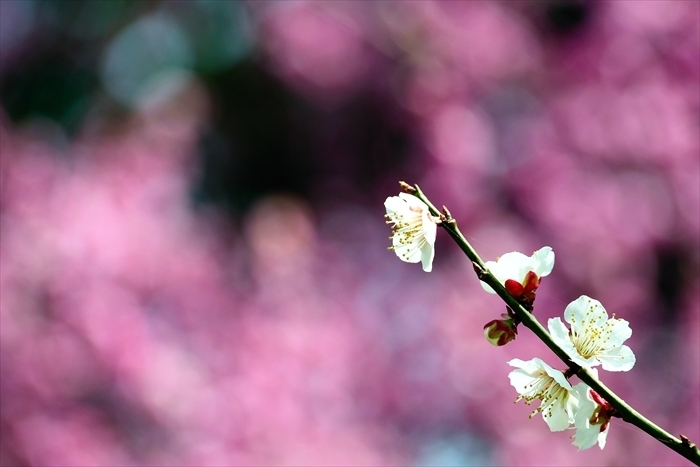 人もクルマも健康診断。どちらも良好で一安心！！: IXY-nob