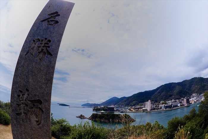 わがやのスナップエンドウは今が最盛期！！: IXY-nob