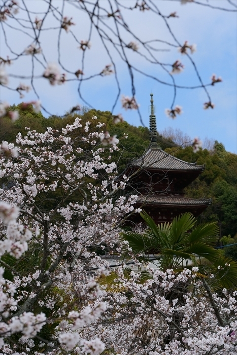 危険！今年も「夏太り注意報」発令！！: IXY-nob