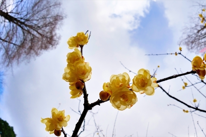 新しいスーパーは店内がきれいで品揃えもステキ！！: IXY-nob